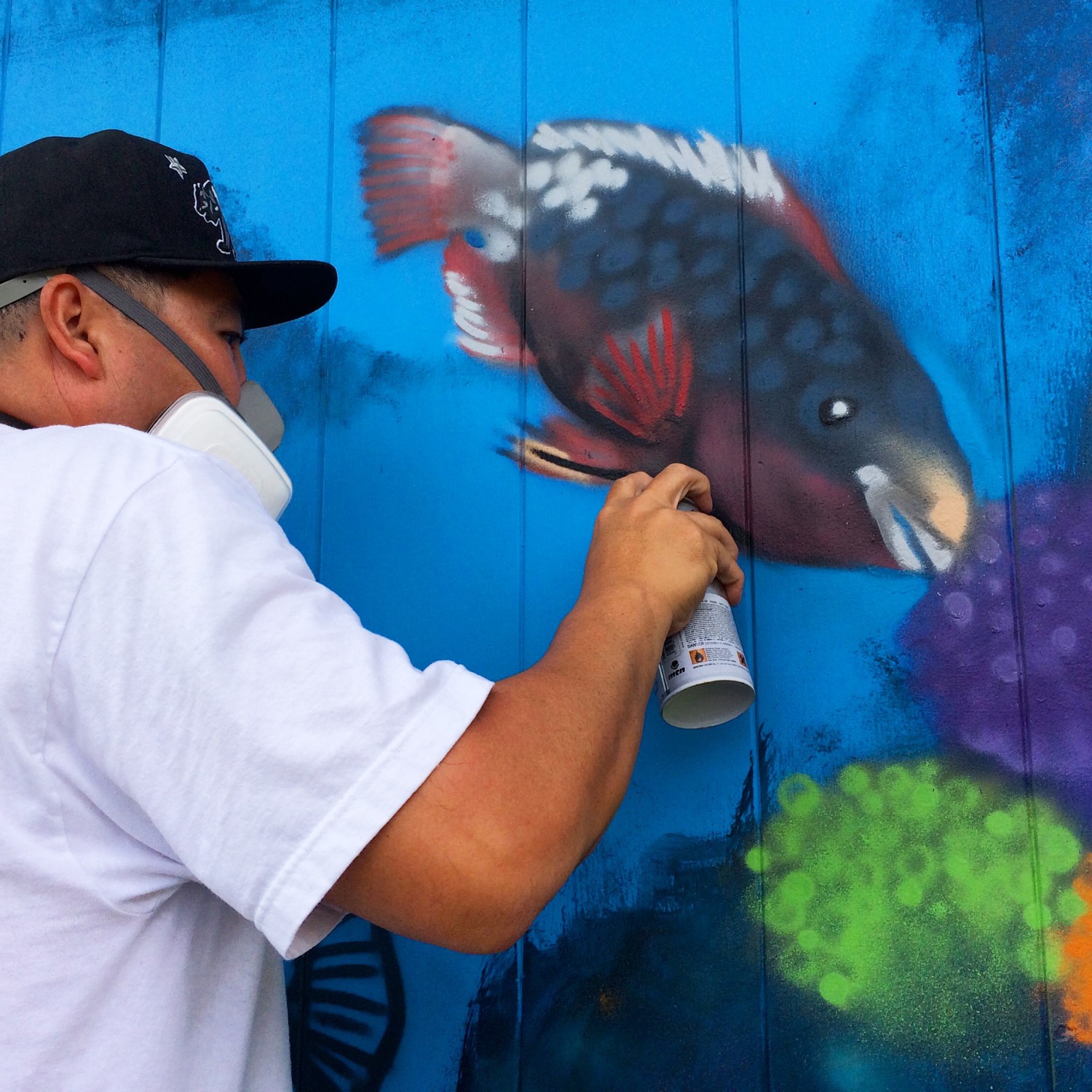 Five Good Reasons to Keep Creating Anti-Meth Murals at Hawaii Schools ...